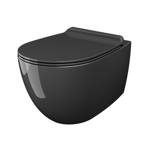 Wall Hung Toilet With Tornado Flush in Grafite Gloss | Coloured Toilets